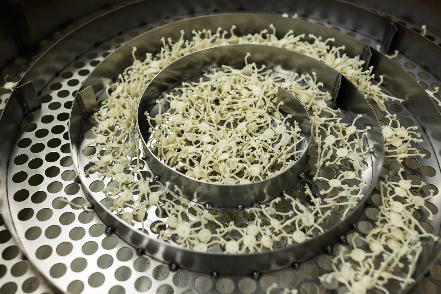 Injection Molding, Machining, and Assembly for Consumer Plastics